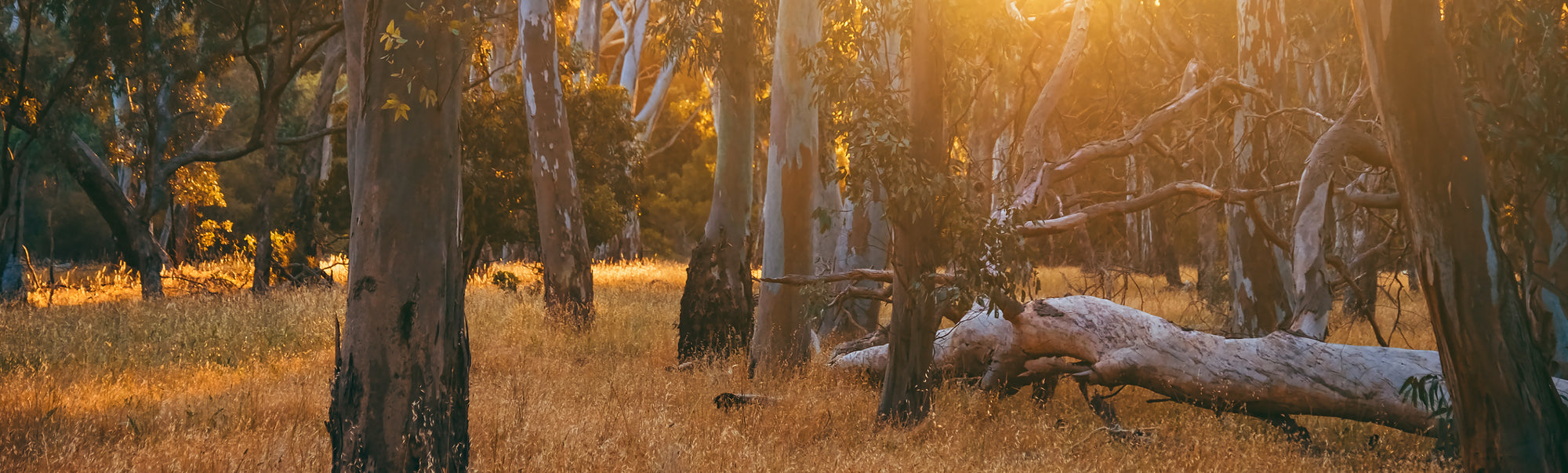 AWNING BRACKETS – DARCHE®